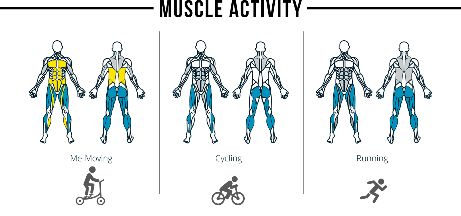 muscle activity – Oz Robotics