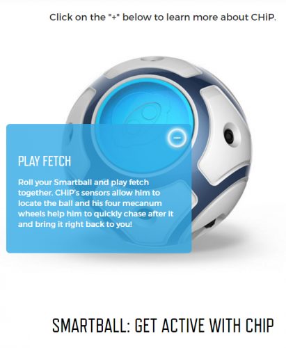 SMARTBALL: GET ACTIVE WITH CHIP – Oz Robotics