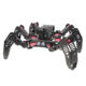 Hiwonder SpiderPi Raspberry Pi AI Intelligent Vision Hexapod Robot for Education Program – Oz ...