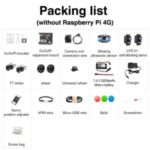 Hiwonder GoGoPi Vision Robot Car for Python Programming Powered by ...