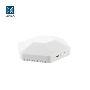 LoRaWAN BLE Gateway for LoRa+BLE Solutions – Oz Robotics