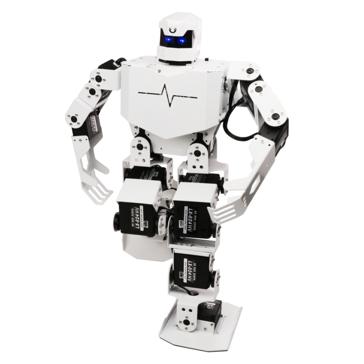 Humanoid Robot for Entertainment – Oz Robotics