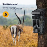 Campark TC07 4K 60MP WiFi Solar Power Dual Lens Wildlife Camera – Oz Robotics