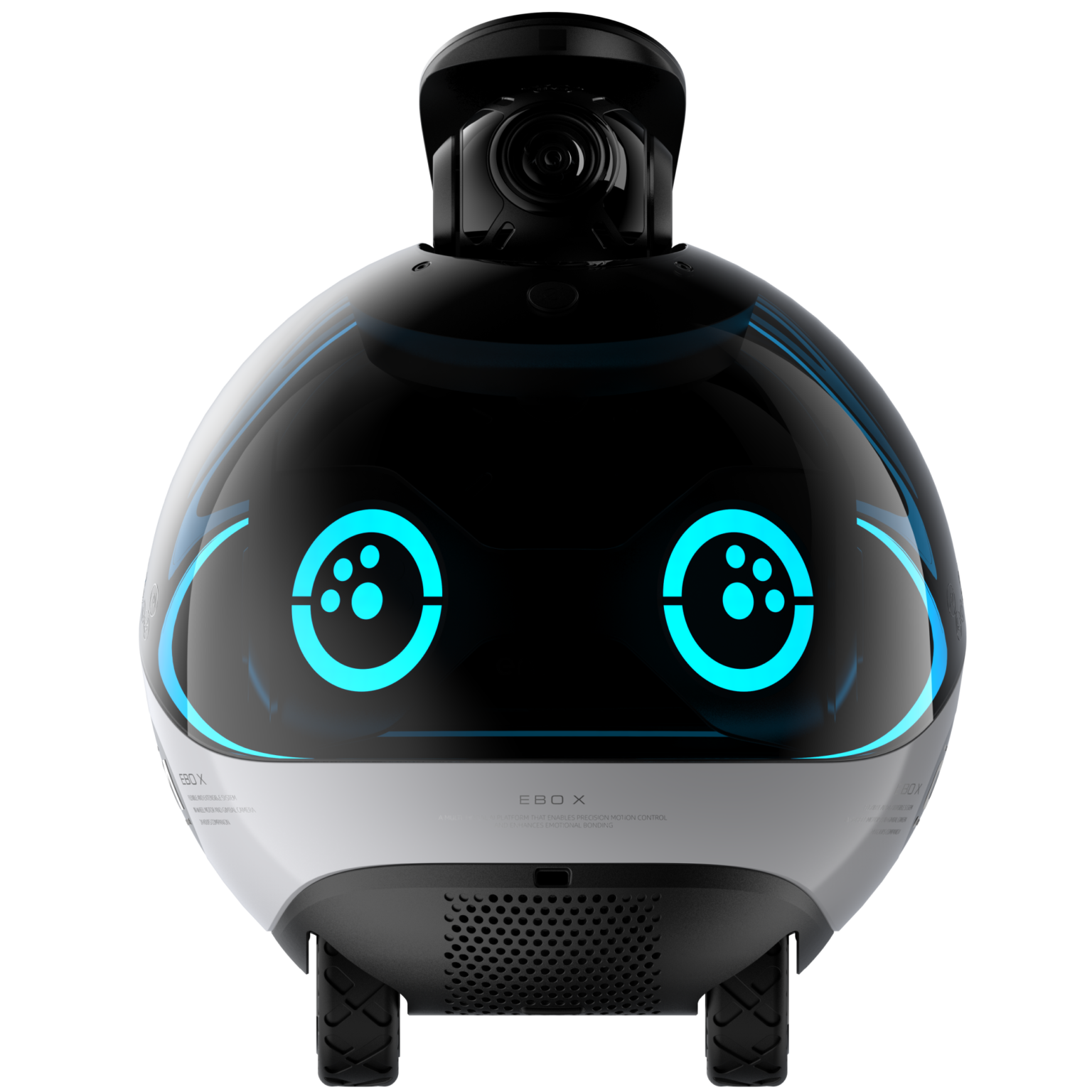 Robotics – Oz Robotics