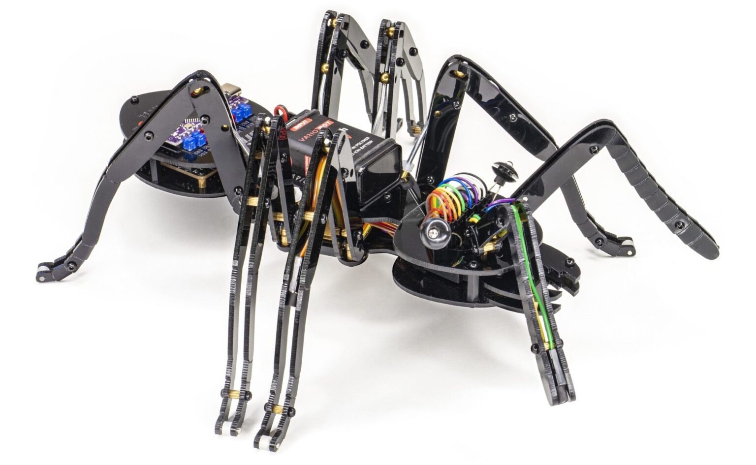 variAnt – Programmable Walking Robot Ant – STEM Robotic Kit – Oz Robotics