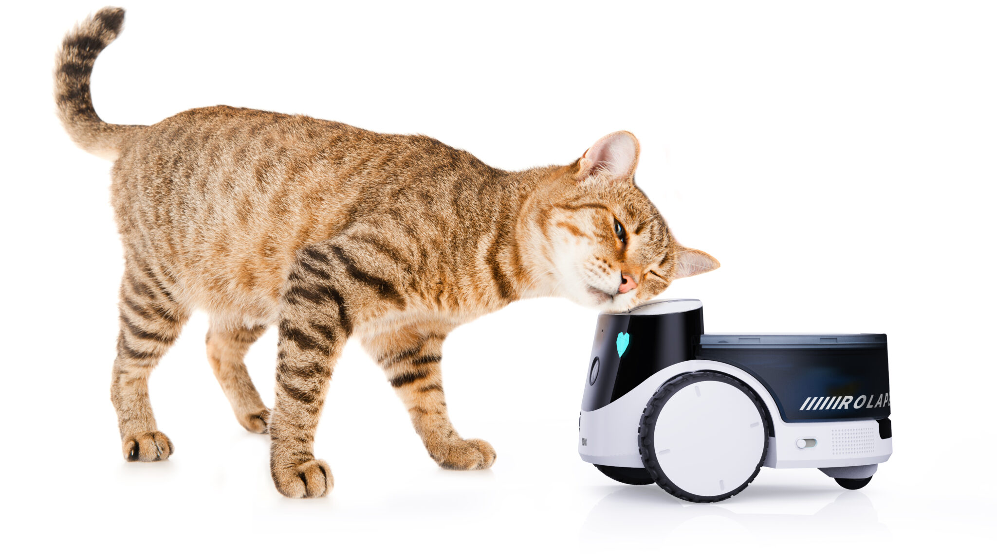 Pet Care Camera Robot with Treat Dispenser – Oz Robotics