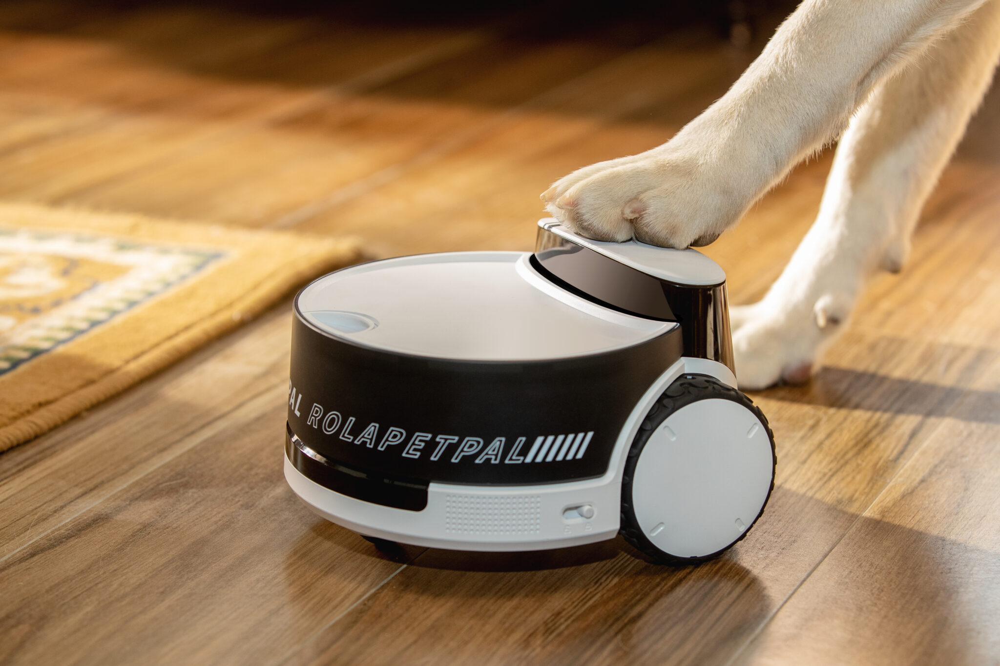 Pet Care Camera Robot with Treat Dispenser – Oz Robotics