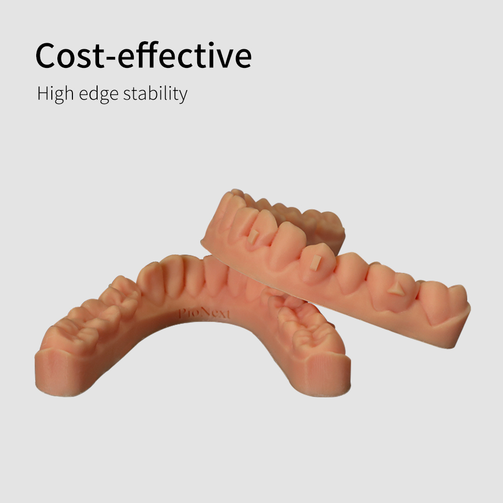 PioNext | Ortho Model 2.0 Resin – Oz Robotics